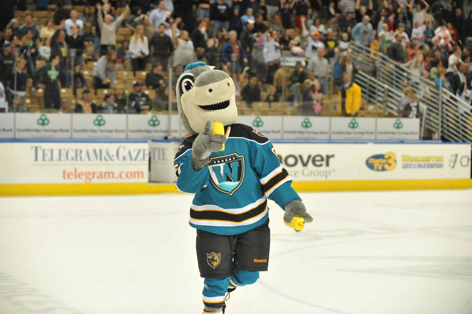 finz | The Worcester Guardian